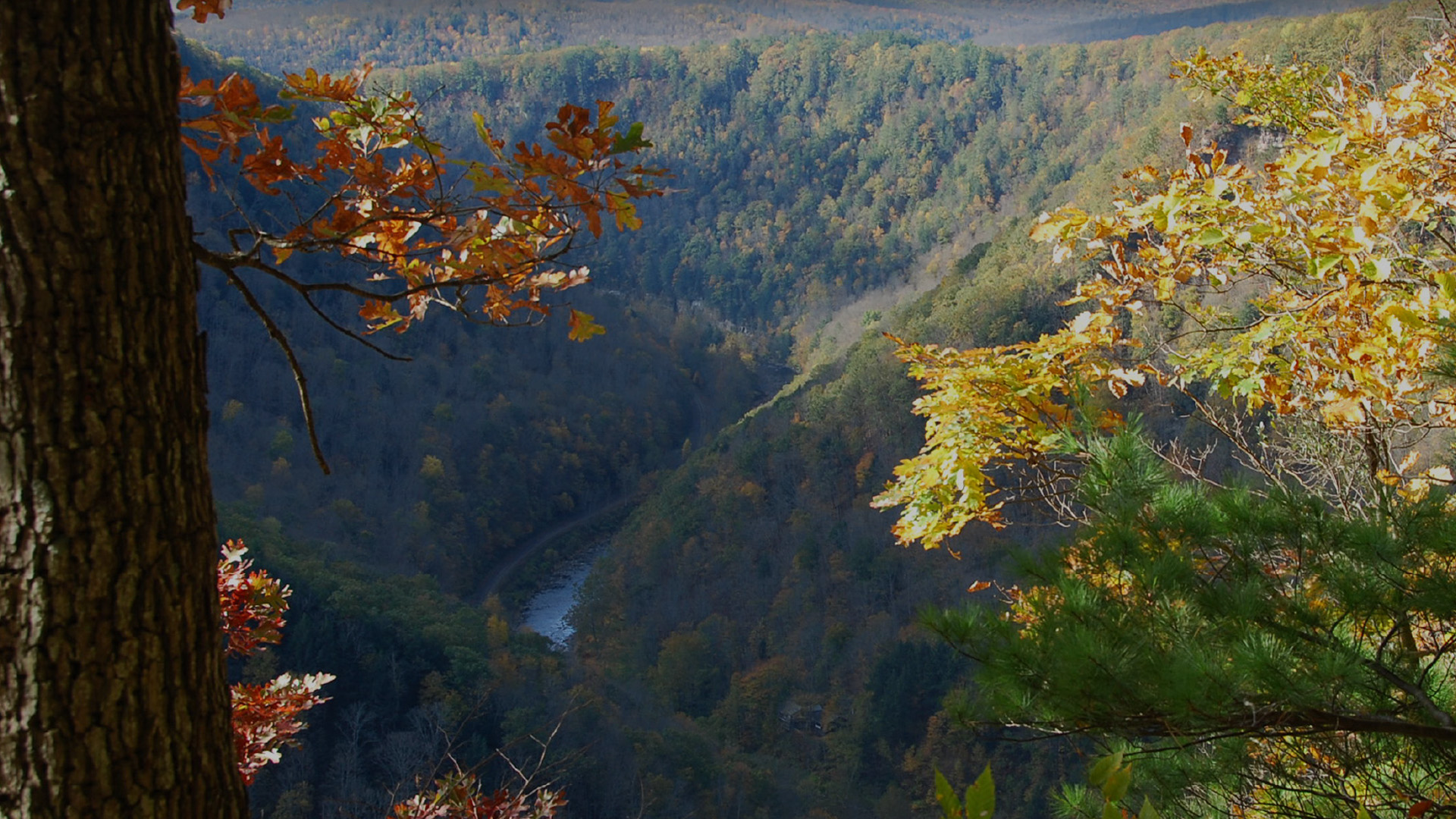 Plans, Programs & Publications - Northern Tier Regional & Planning ...